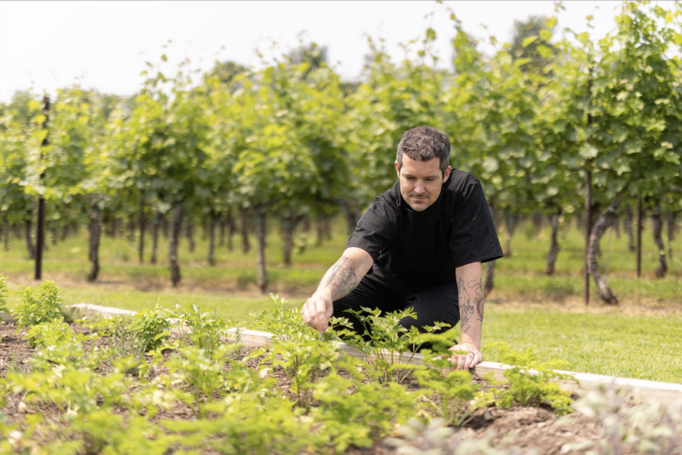 Farm to Fork: Philadelphia Chefs Utilizing On-Premise Grown Summer ...